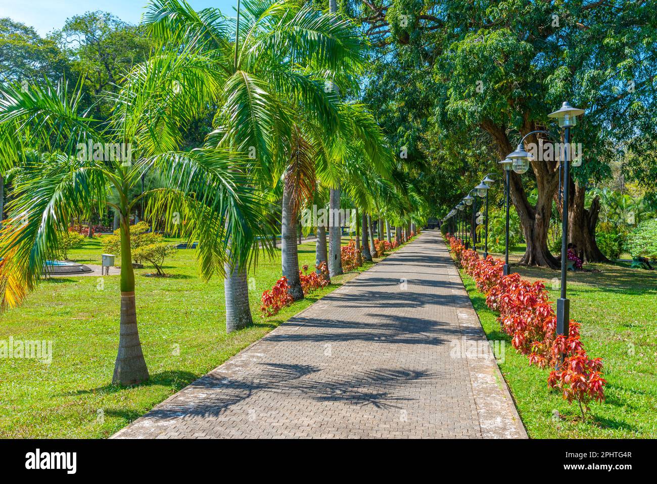 Parque Viharamahadevi, Colombo, Sri Lanka Beauty Of The Viharamahadevi