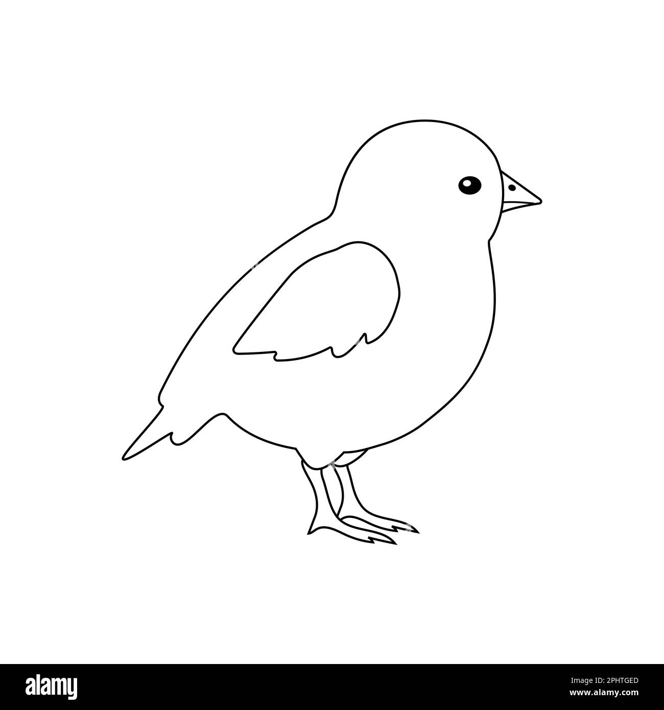Vector flat hand drawn outline chicken chick isolated on white ...