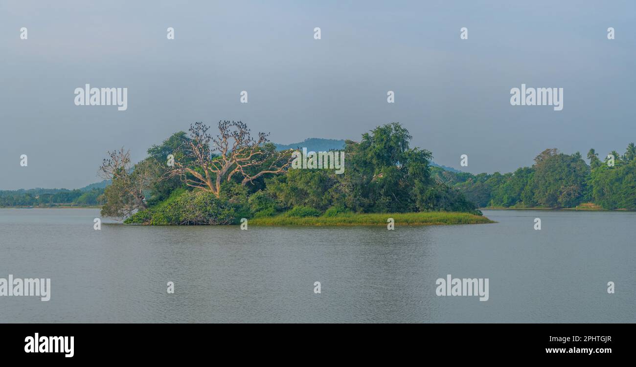 Sri lanka tissa hi-res stock photography and images - Alamy