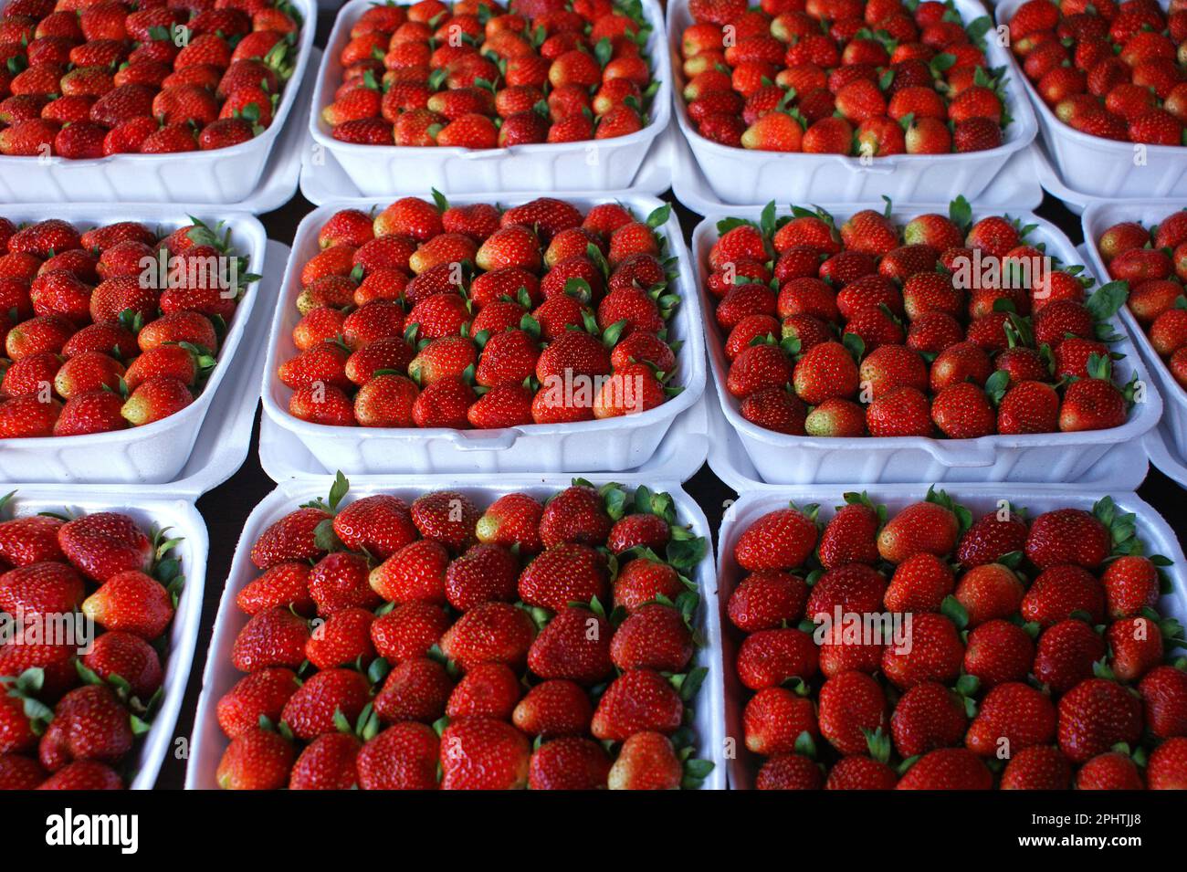 Strawberry at Fruit Market Garut, West Java, Indonesia Stock Photo - Alamy