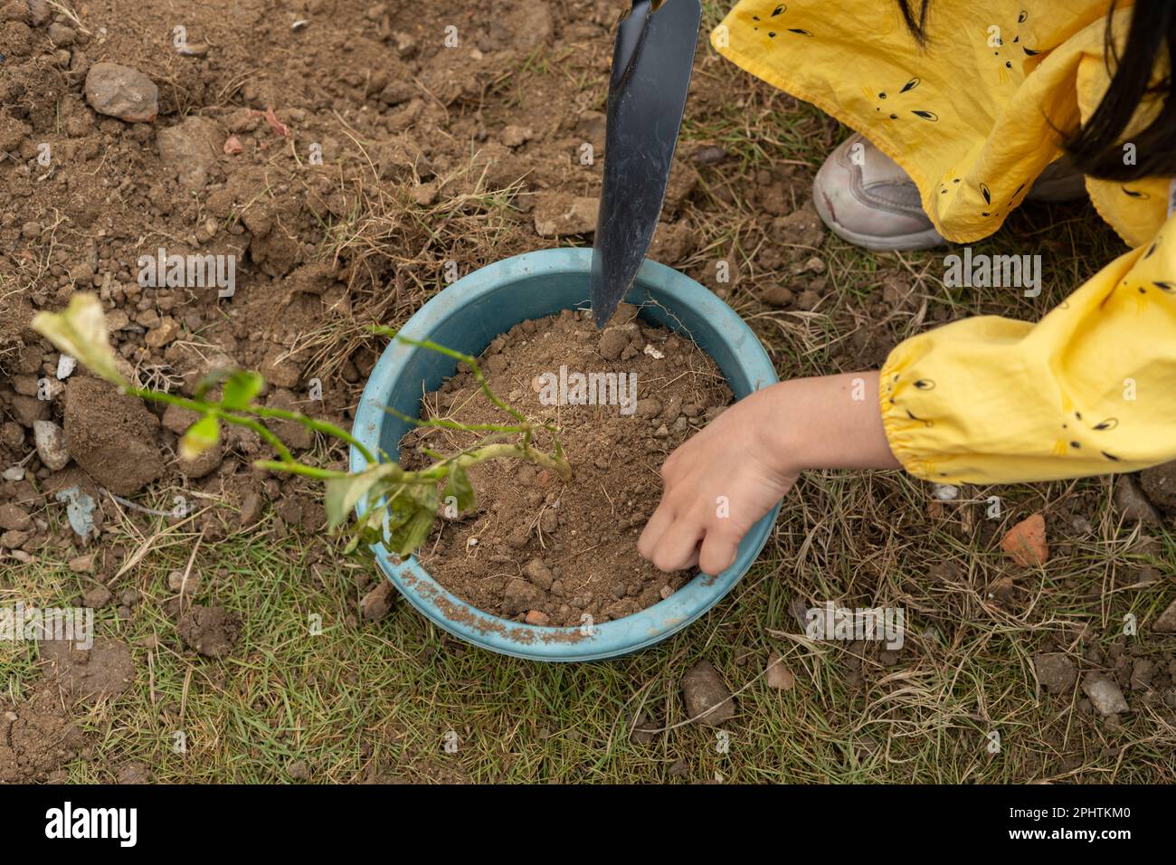girl doing tree planting horizontal composition Stock Photo - Alamy