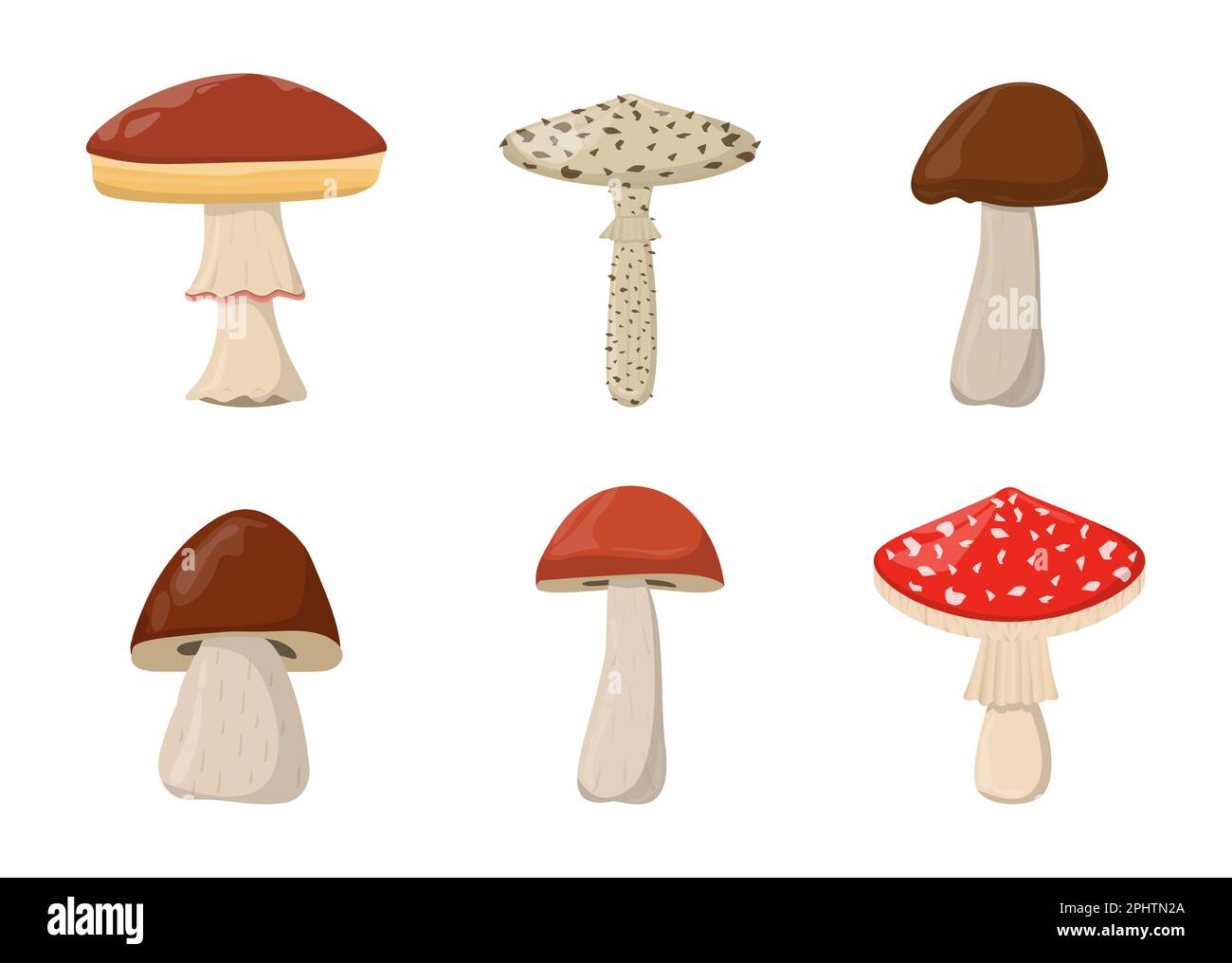Toadstool vector vectors hi-res stock photography and images - Alamy