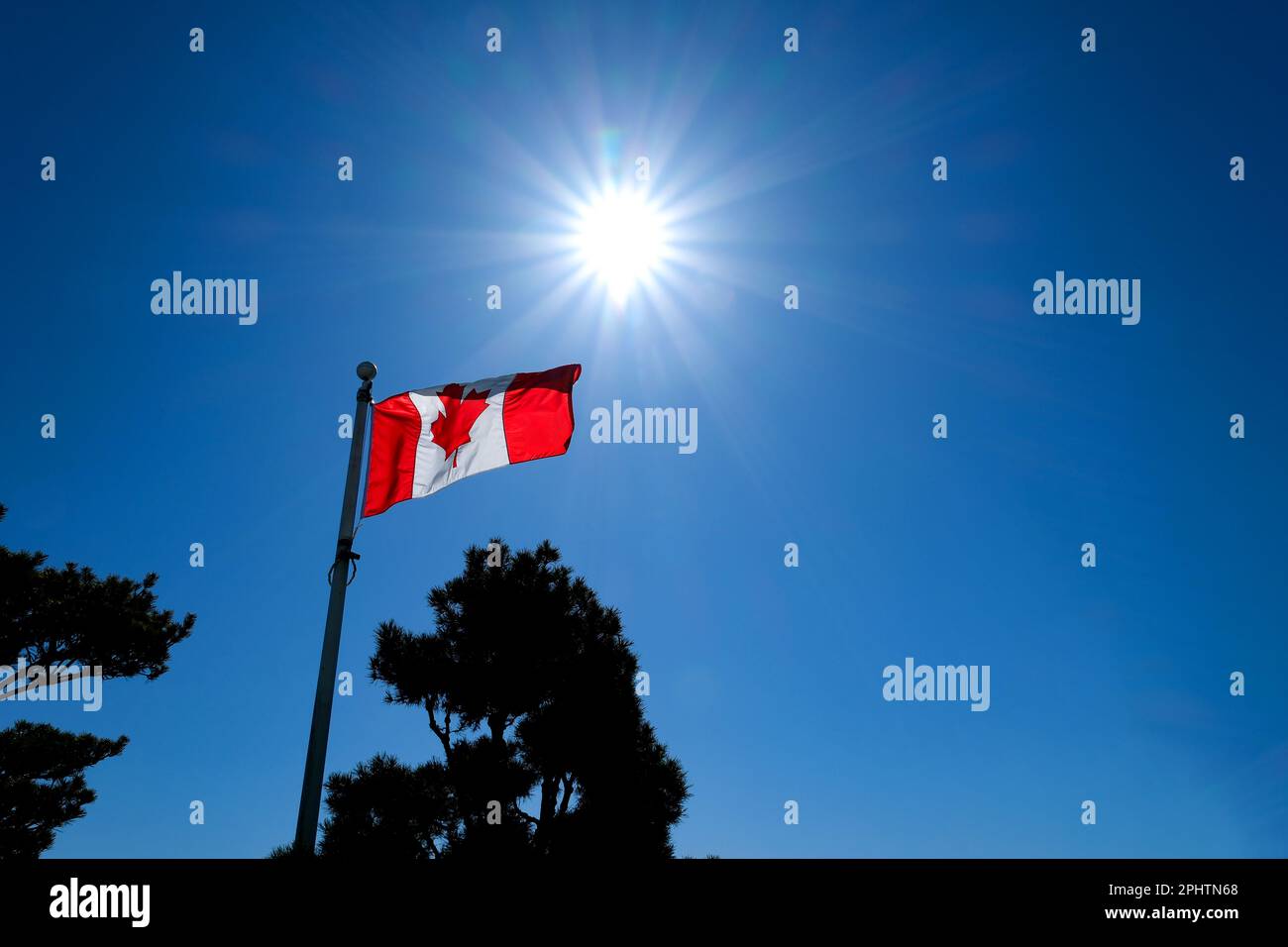 Canada national flag waving on blue sky with flying birds. Canada day ...