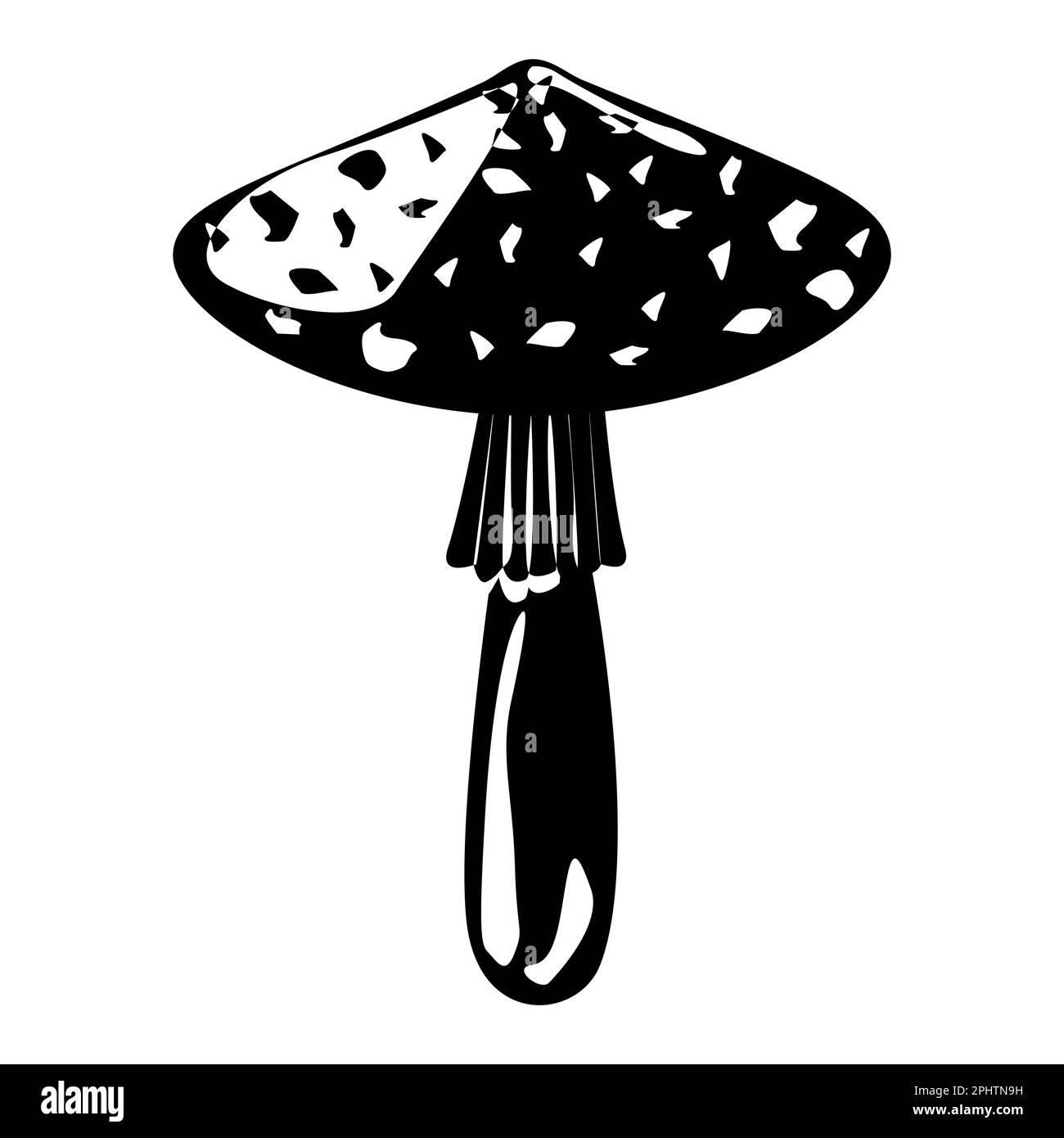 Edible Organic mushrooms. Truffle brown cap. Forest wild mushrooms ... Edible Organic mushrooms. Truffle brown cap. Forest wild mushrooms ...