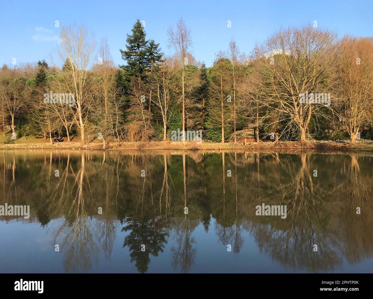 Beautiful Ataturk Arboretum view in Sariyer, Istanbul, Turkey Stock ...