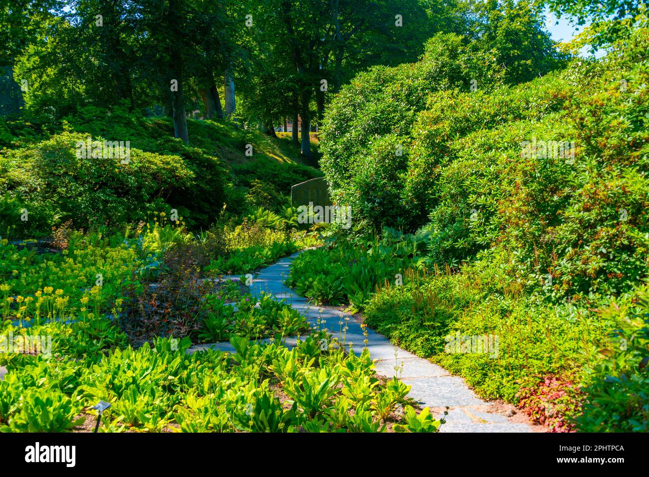 Gardens at Sofiero palace in Sweden Stock Photo - Alamy