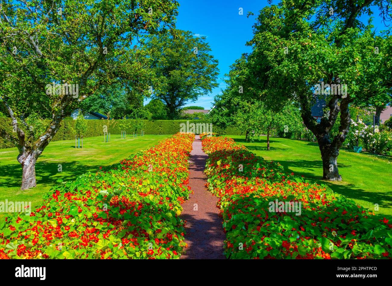 Garden helsingborg plant tree hi-res stock photography and images - Alamy