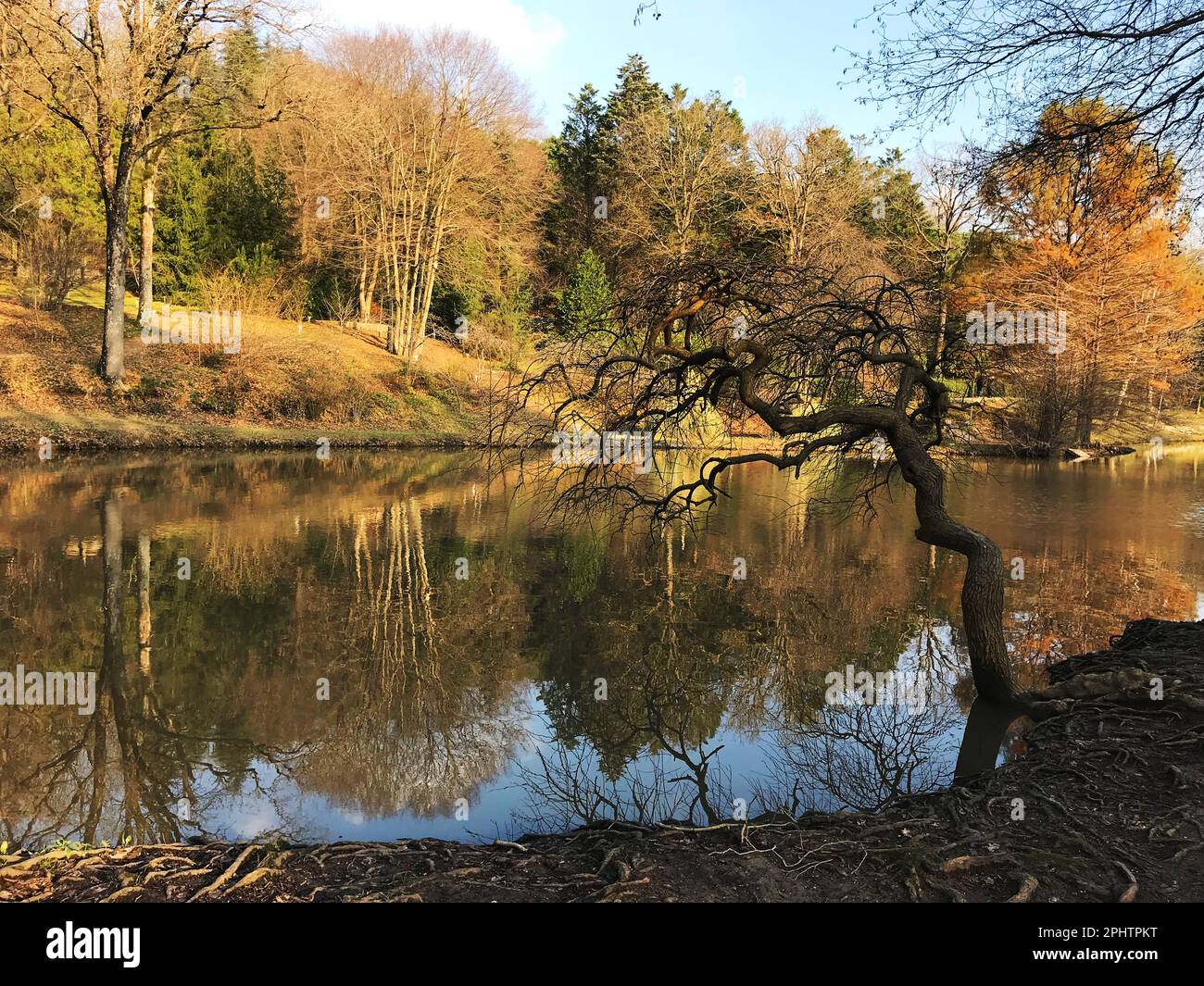Beautiful Ataturk Arboretum view in Sariyer, Istanbul, Turkey Stock ...