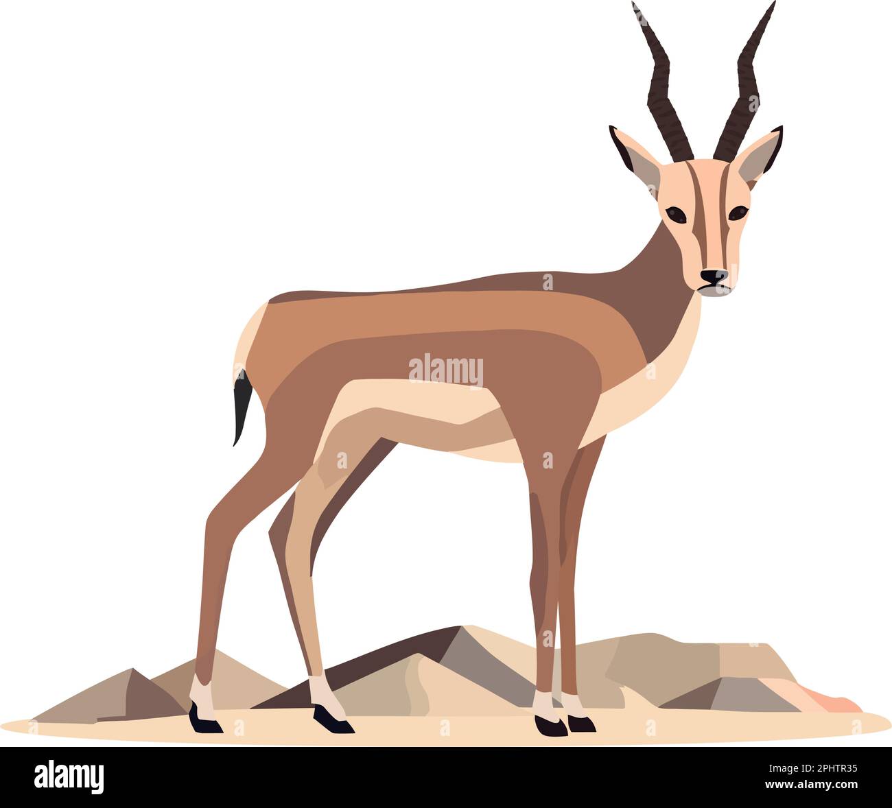 Impala in grasslands Stock Vector Images - Alamy