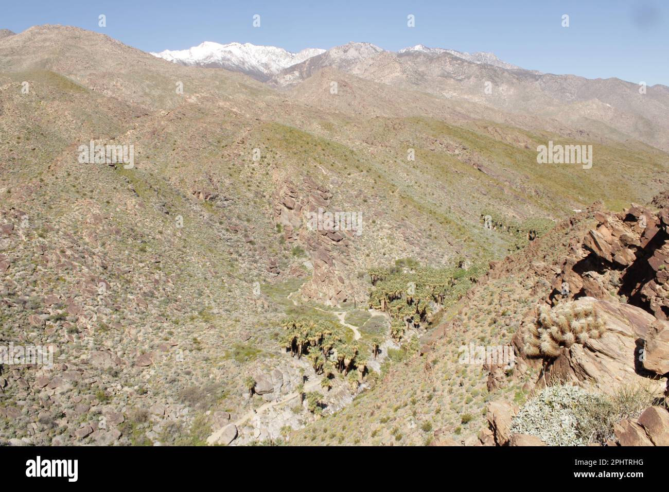 Palm Tree Oasis - Indian Canyon, Palm Springs, California Stock Photo ...