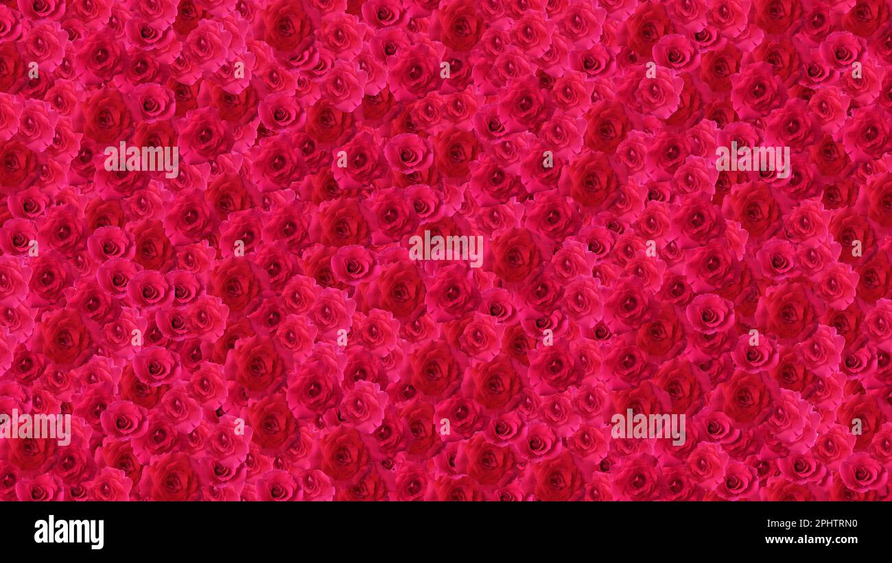 Rose flower background. Red rose flowers background. 3d render ...