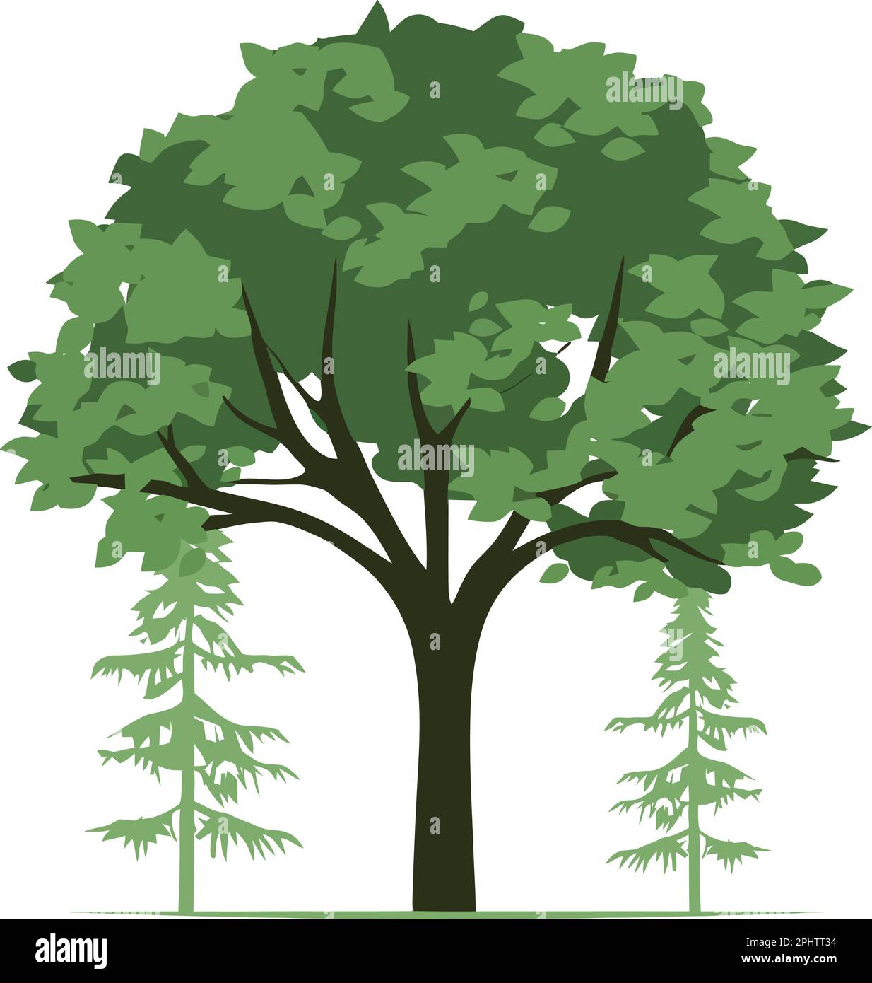 Green leaves on tree branch symbol growth Stock Vector Image & Art - Alamy