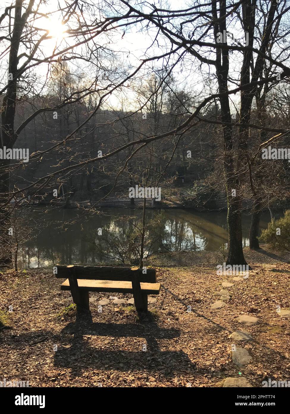 Wooden bench and beautiful Ataturk Arboretum view in Sariyer, Istanbul ...