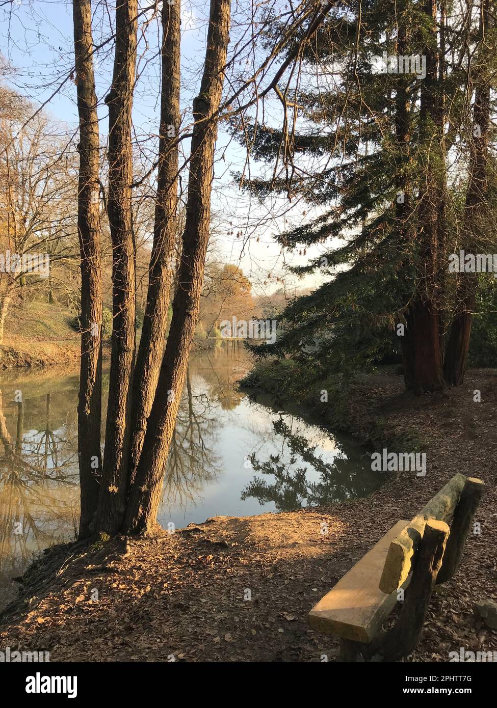 Wooden bench and beautiful Ataturk Arboretum view in Sariyer, Istanbul ...
