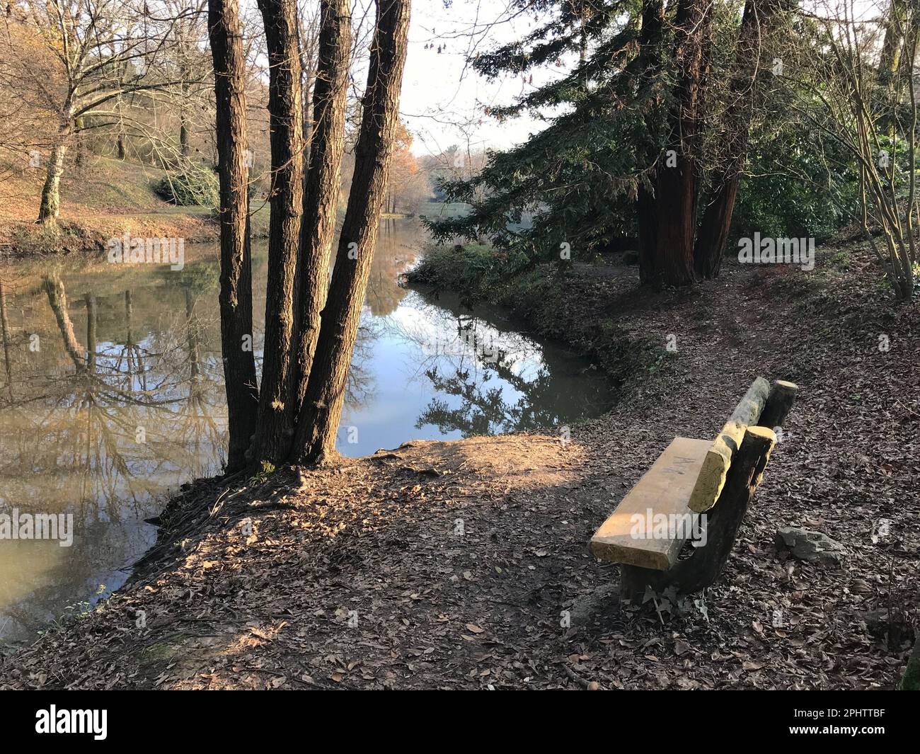 Wooden bench and beautiful Ataturk Arboretum view in Sariyer, Istanbul ...