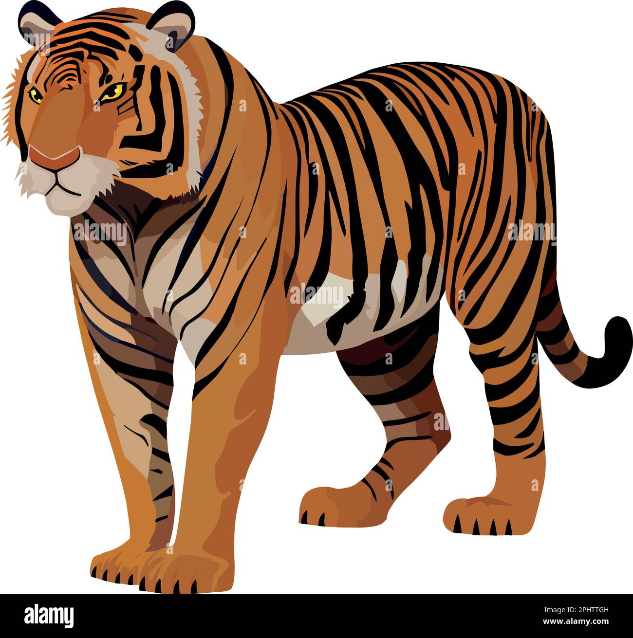 Bengal tiger walking with attitude through jungle Stock Vector Image & Art - Alamy