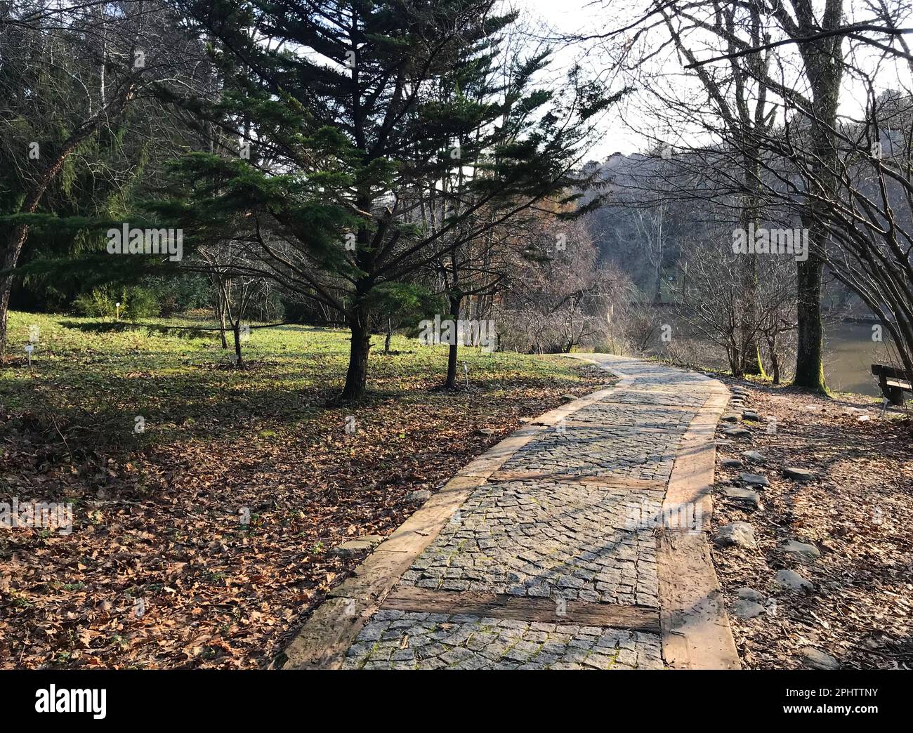 Paving stone path at beautiful Ataturk Arboretum in Sariyer, Istanbul ...