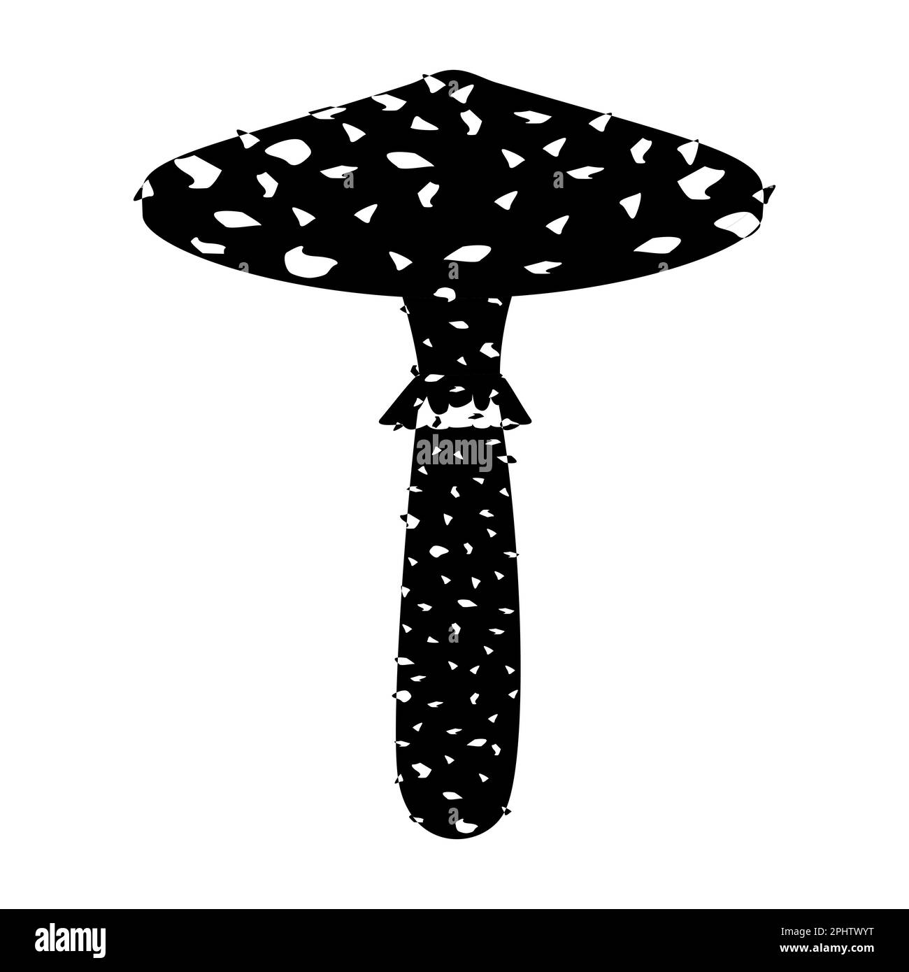 Types of mushroom Black and White Stock Photos & Images - Alamy