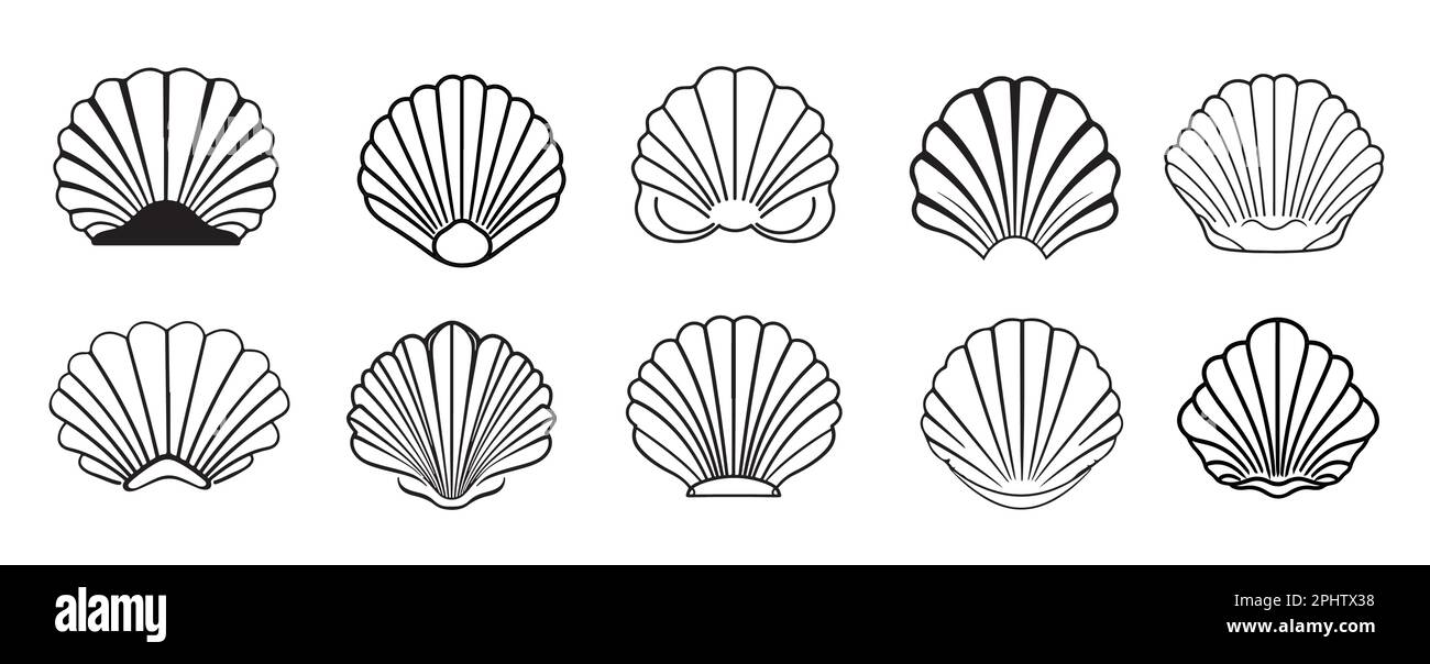 Sea shell set icons hand drawn sketch illustration Stock Vector Image ...