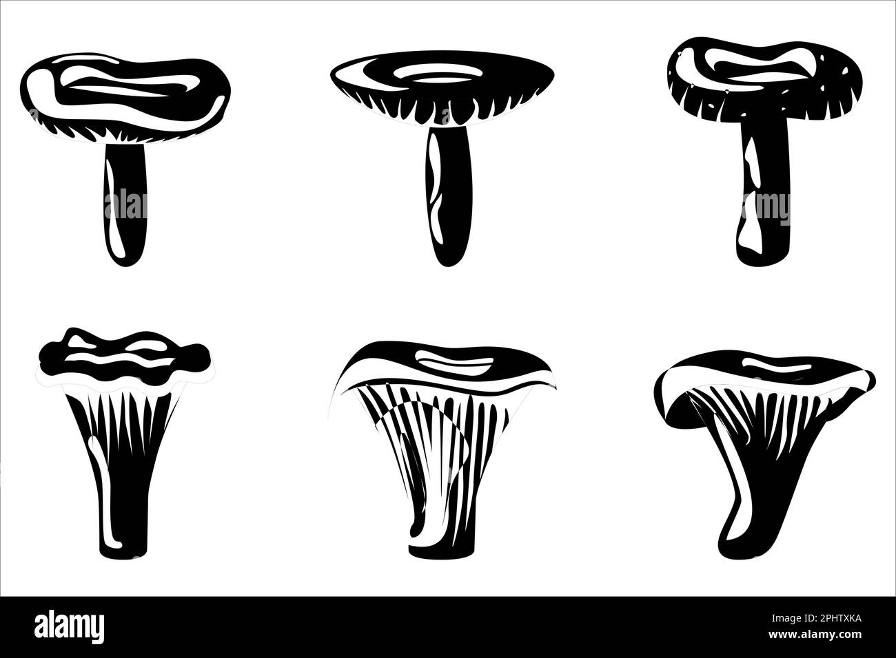 Set mushrooms outline. Edible Organic mushrooms. Truffle. Forest wild ... Set mushrooms outline. Edible Organic mushrooms. Truffle. Forest wild ...