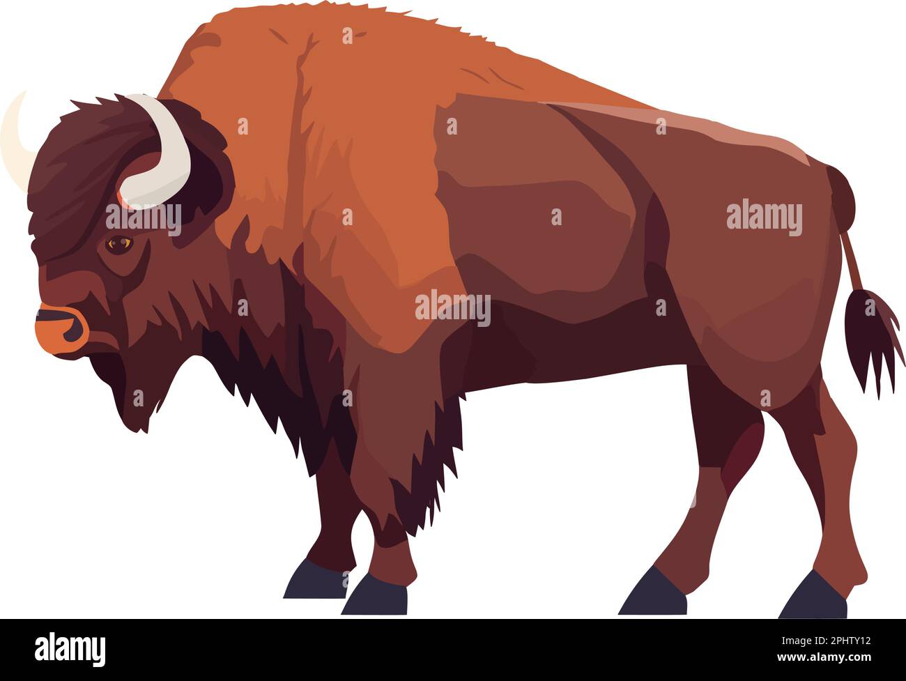 Horned ox grazing on white background Stock Vector Image & Art - Alamy