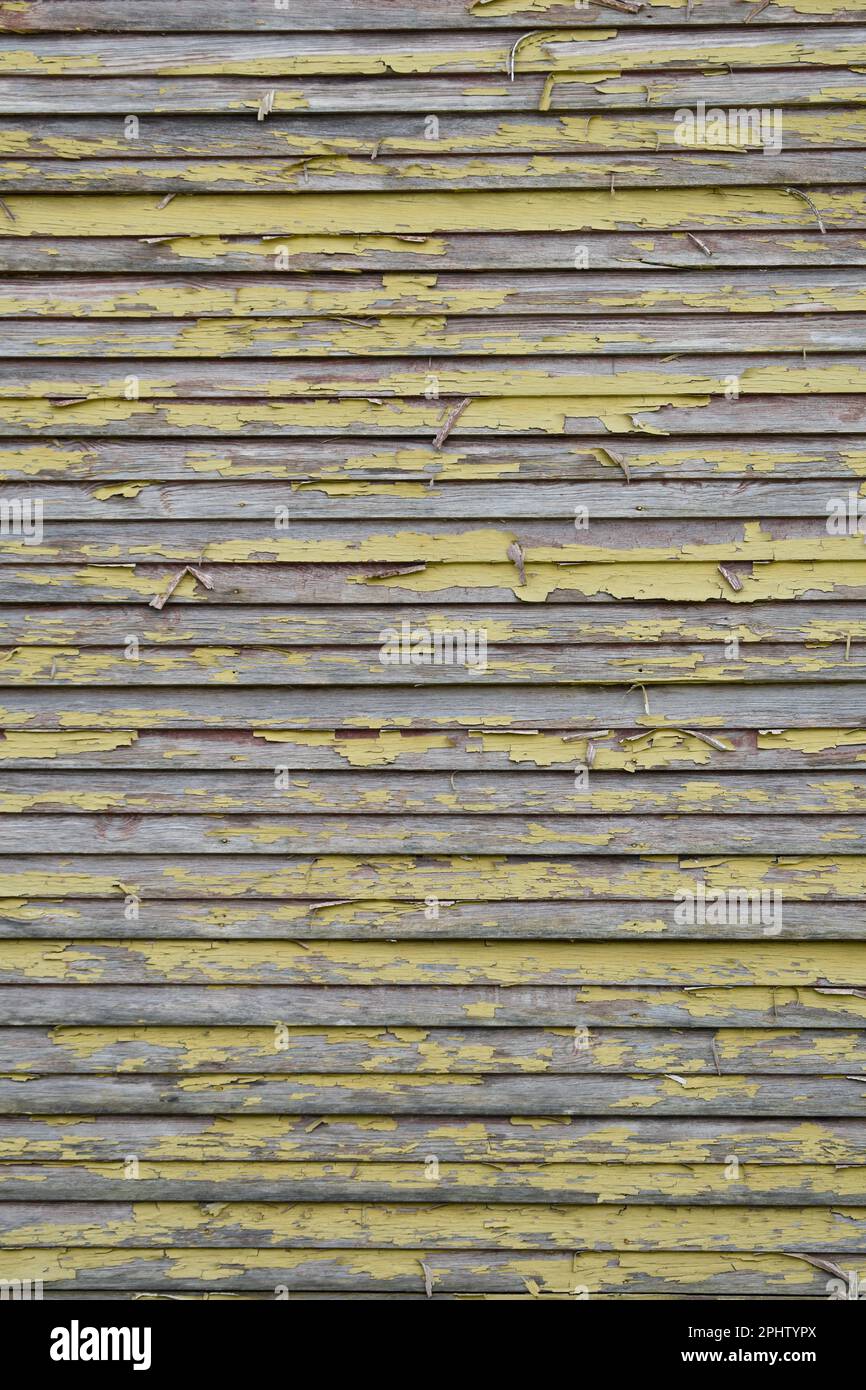 Wood siding of old building peeling yellow paint Stock Photo - Alamy