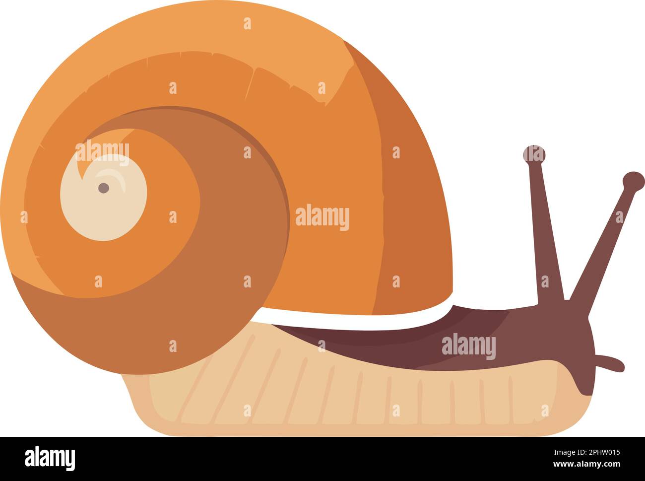 Slimy snail crawls on spiral shell design Stock Vector Image & Art - Alamy