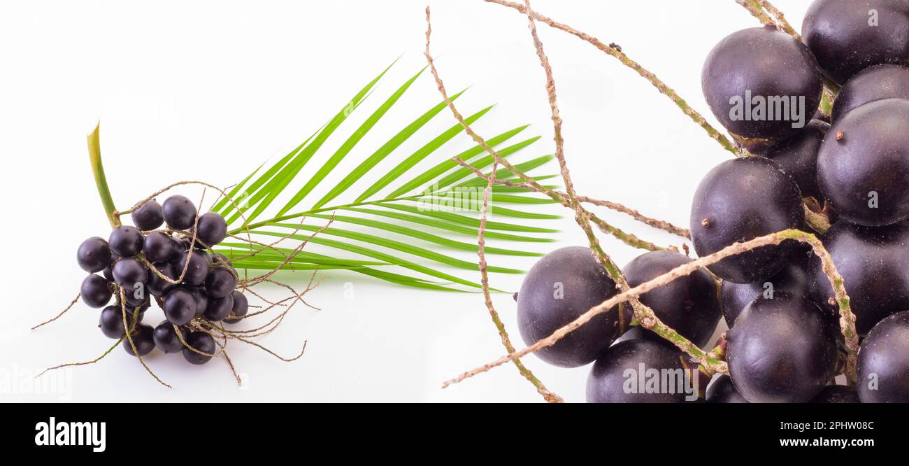 acai fruit on a white background (Euterpe Oleracea Stock Photo - Alamy