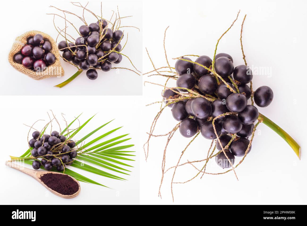 acai fruit on a white background (Euterpe Oleracea Stock Photo - Alamy