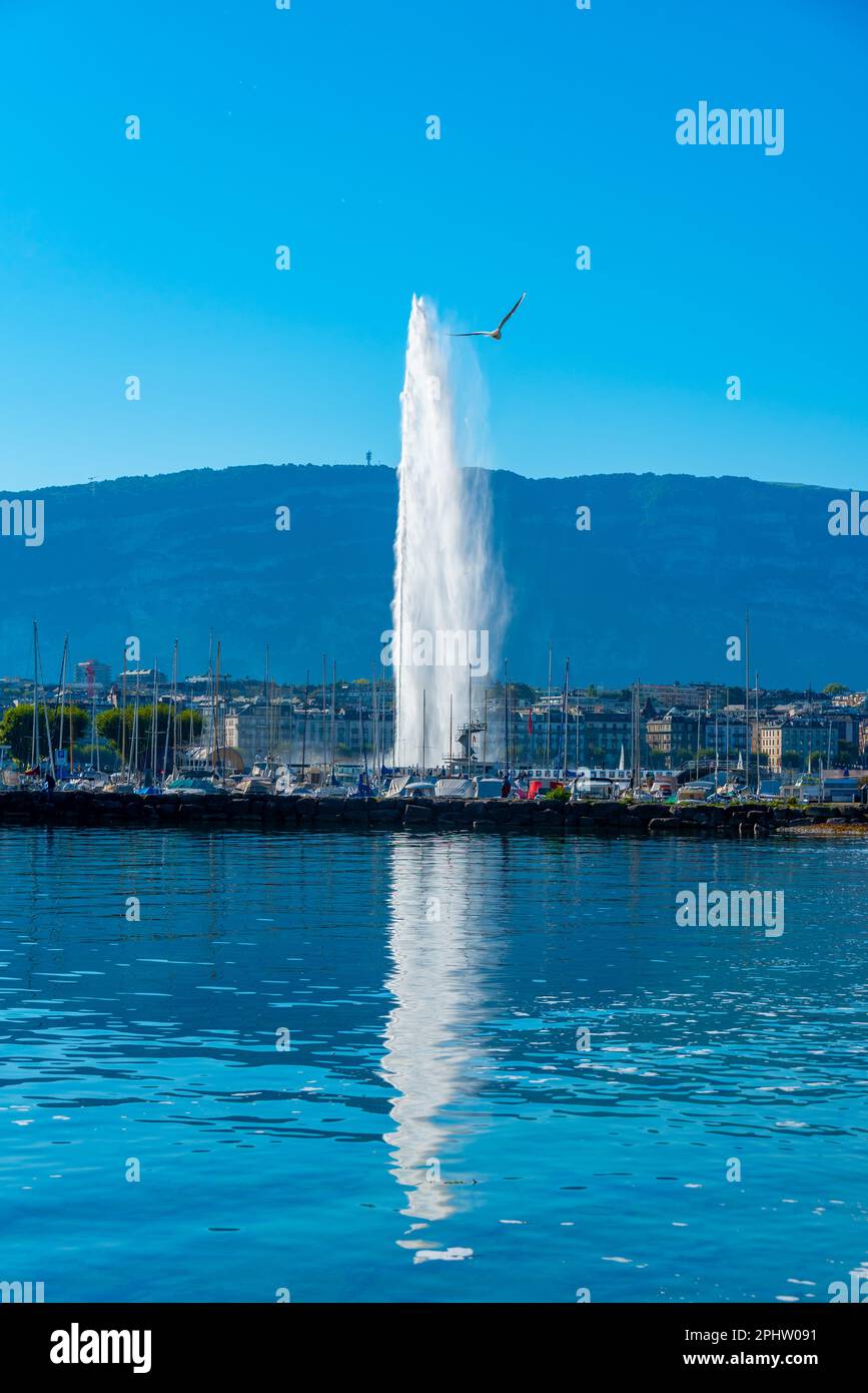 Jet d'eau fountain in the swiss city Geneva Stock Photo - Alamy