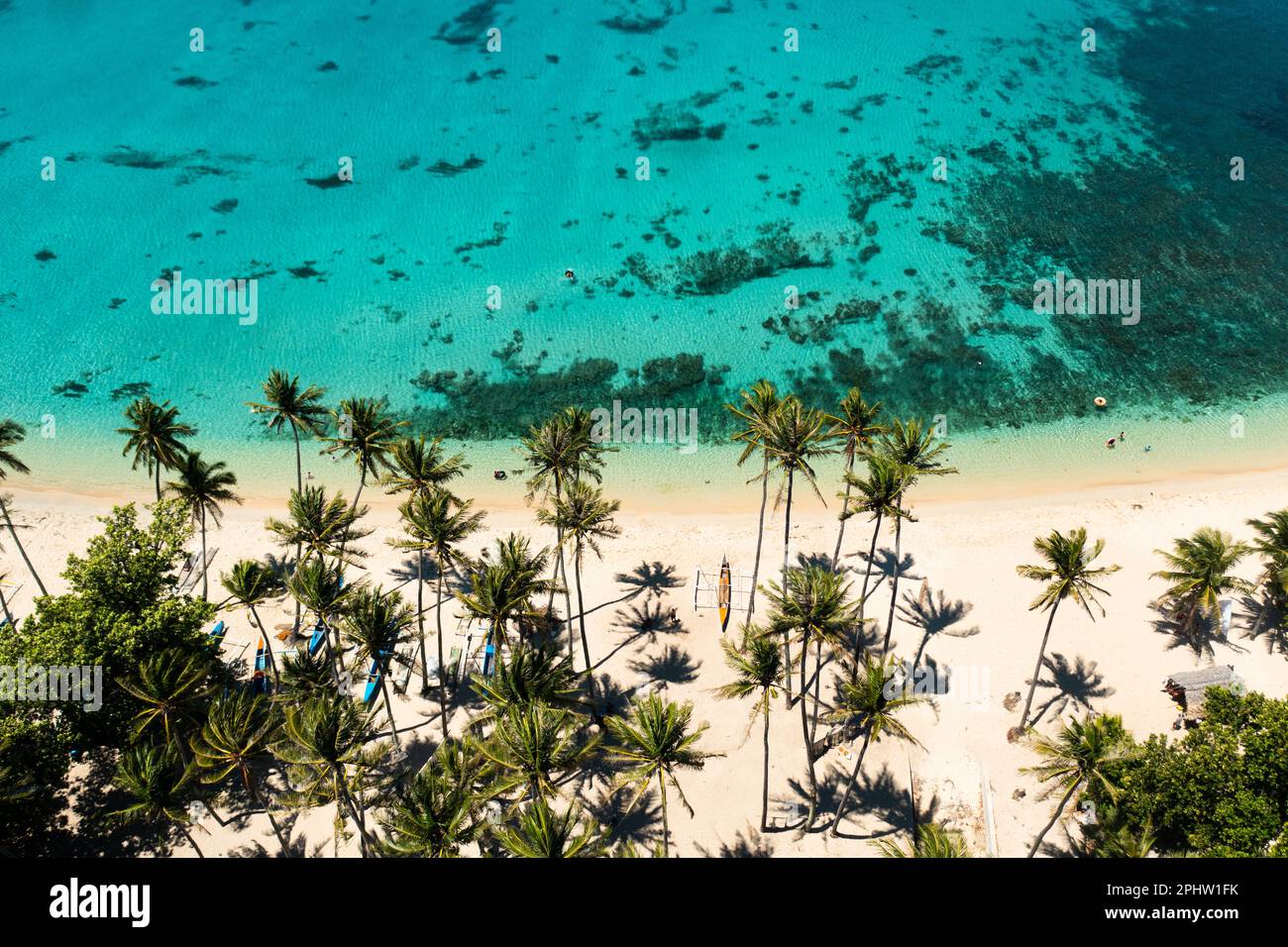 Aerial drone of Tropical beach with palm trees and blue lagoon water ...