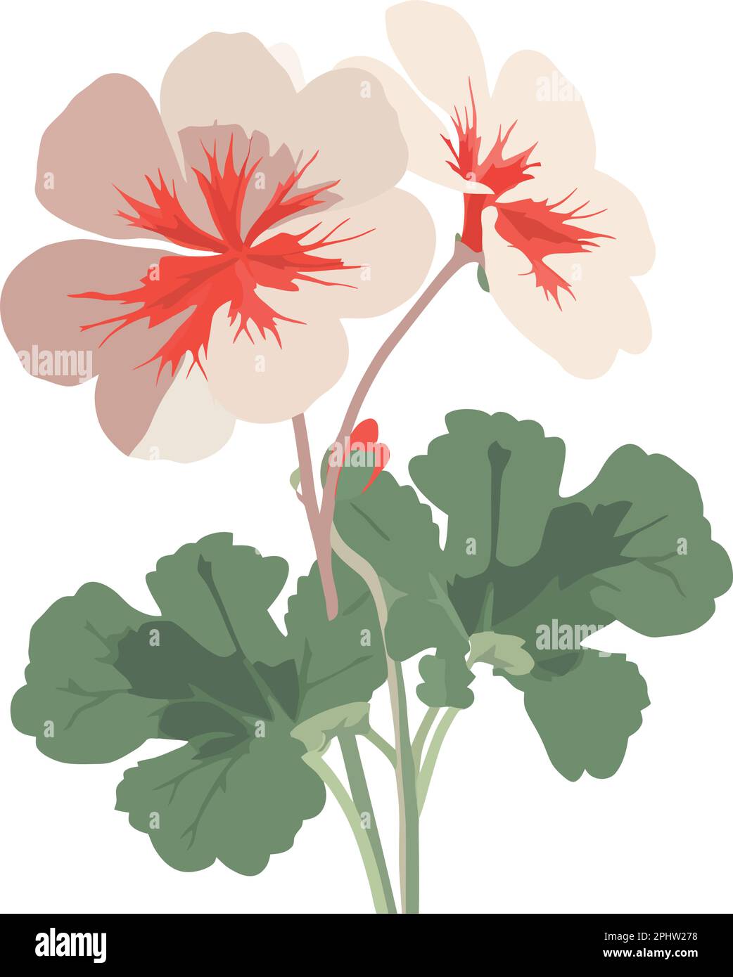 Flowers bloom in nature design Stock Vector Image & Art - Alamy