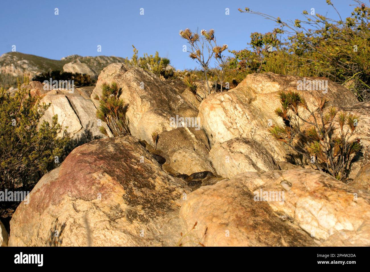 Granite rock formation landscape, Fitzgerald National Park, Southwest ...