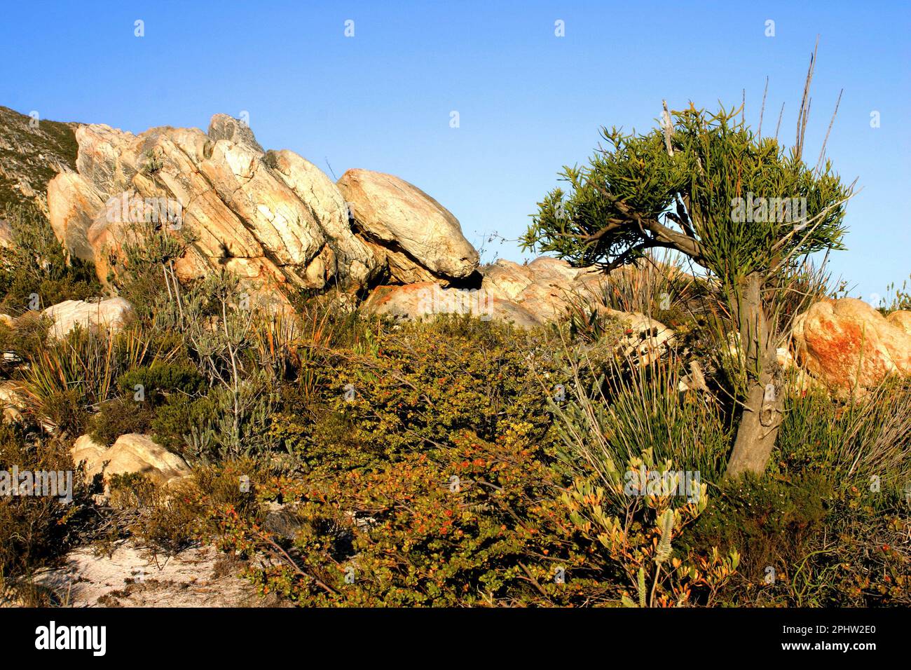 Granite rock formation landscape, Fitzgerald National Park, Southwest ...