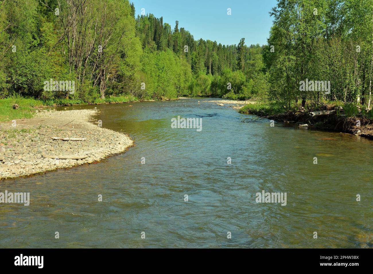 The winding bed of a beautiful river flowing from the mountains through ...