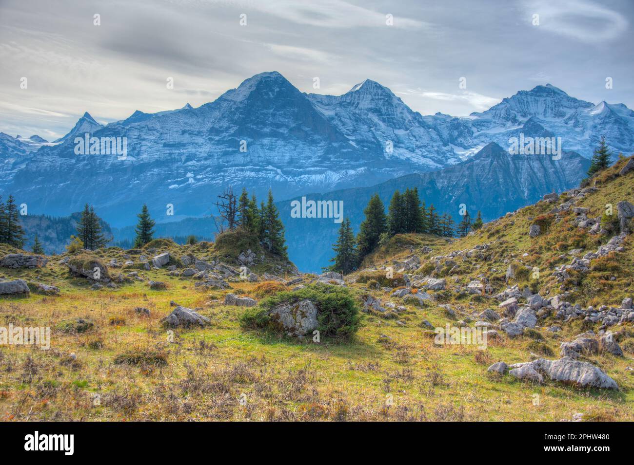 Panorama view of Bernese Alps from Schynige Platte in Switzerland Stock ...
