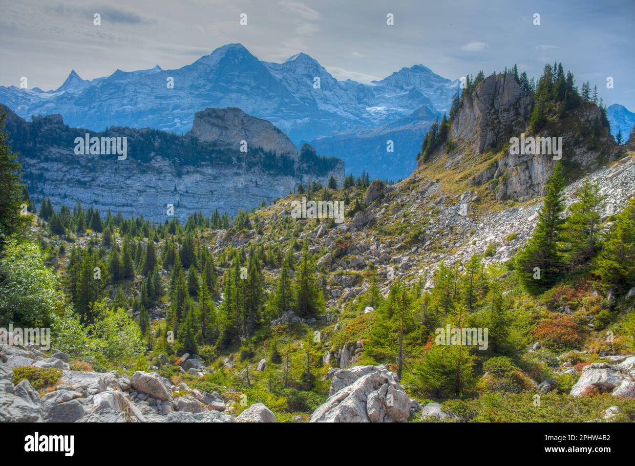 Panorama view of Bernese Alps from Schynige Platte in Switzerland Stock ...