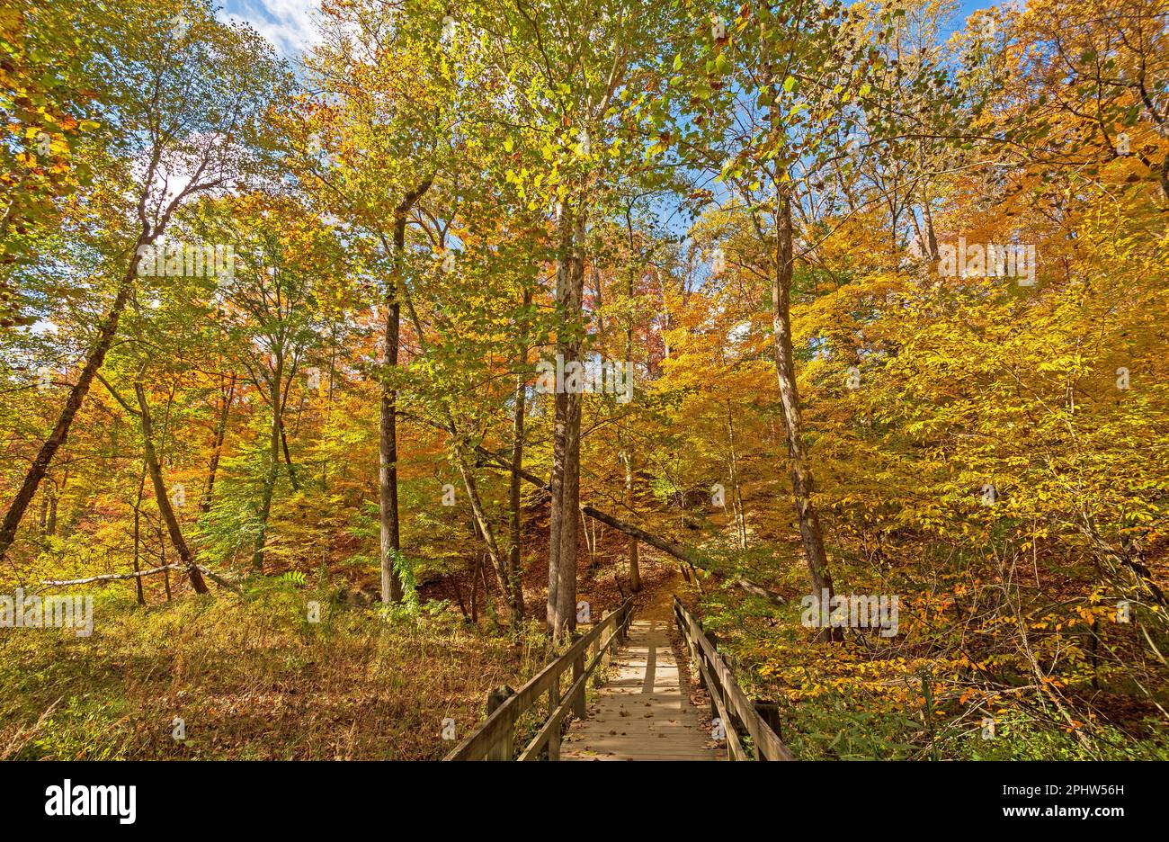 Bridge Into The Autumn Forest in Brown County State Park in Indiana ...
