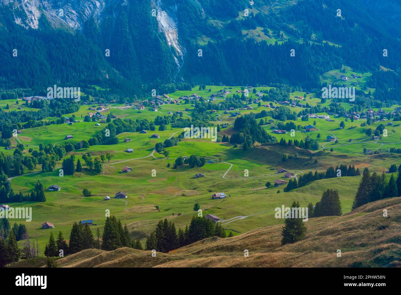Panorama view of Grindelwald, Switzerland Stock Photo - Alamy