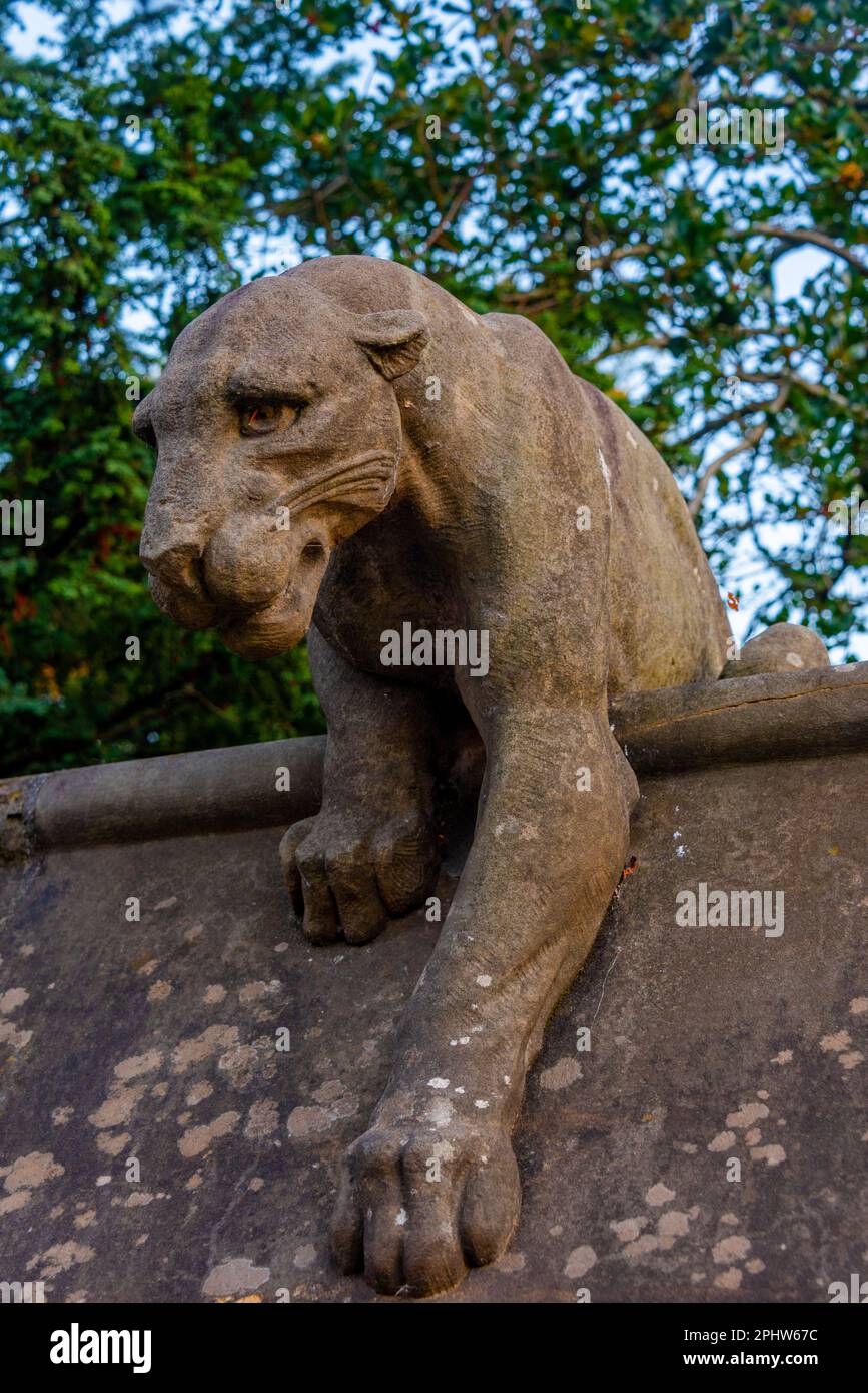 Animal wall of Bute park at Welsh capital Cardiff, UK Stock Photo - Alamy