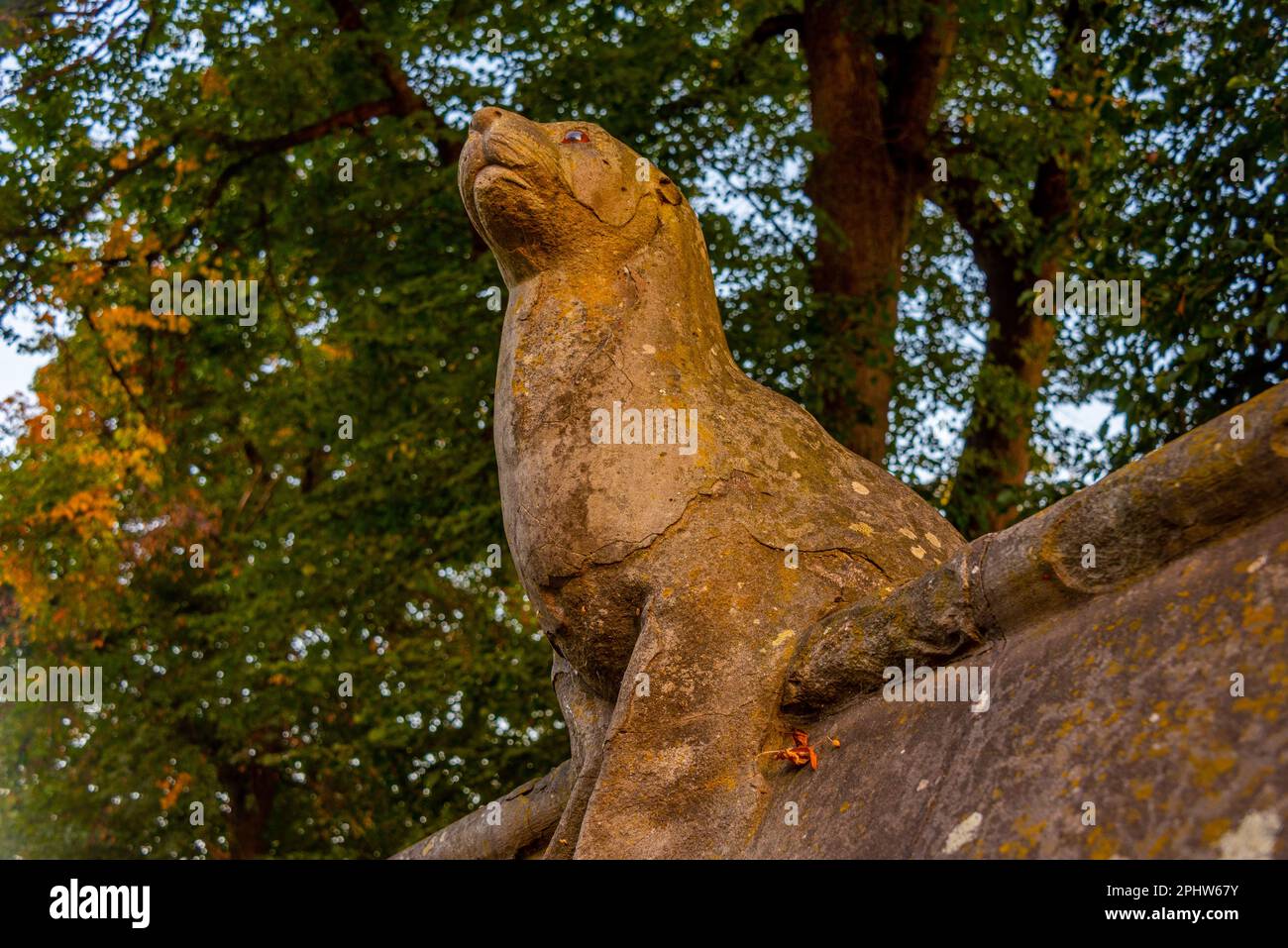 Animal wall of Bute park at Welsh capital Cardiff, UK Stock Photo - Alamy