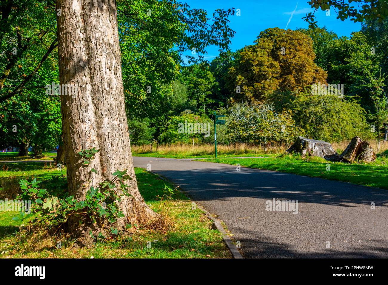 Sunny day at Bute park in Cardiff, UK Stock Photo - Alamy