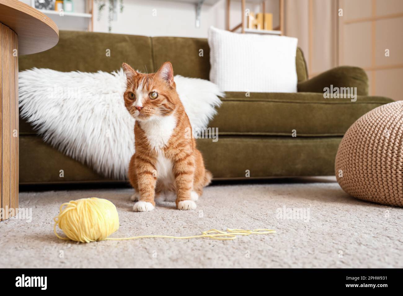 Funny red cat with ball of thread at home Stock Photo - Alamy