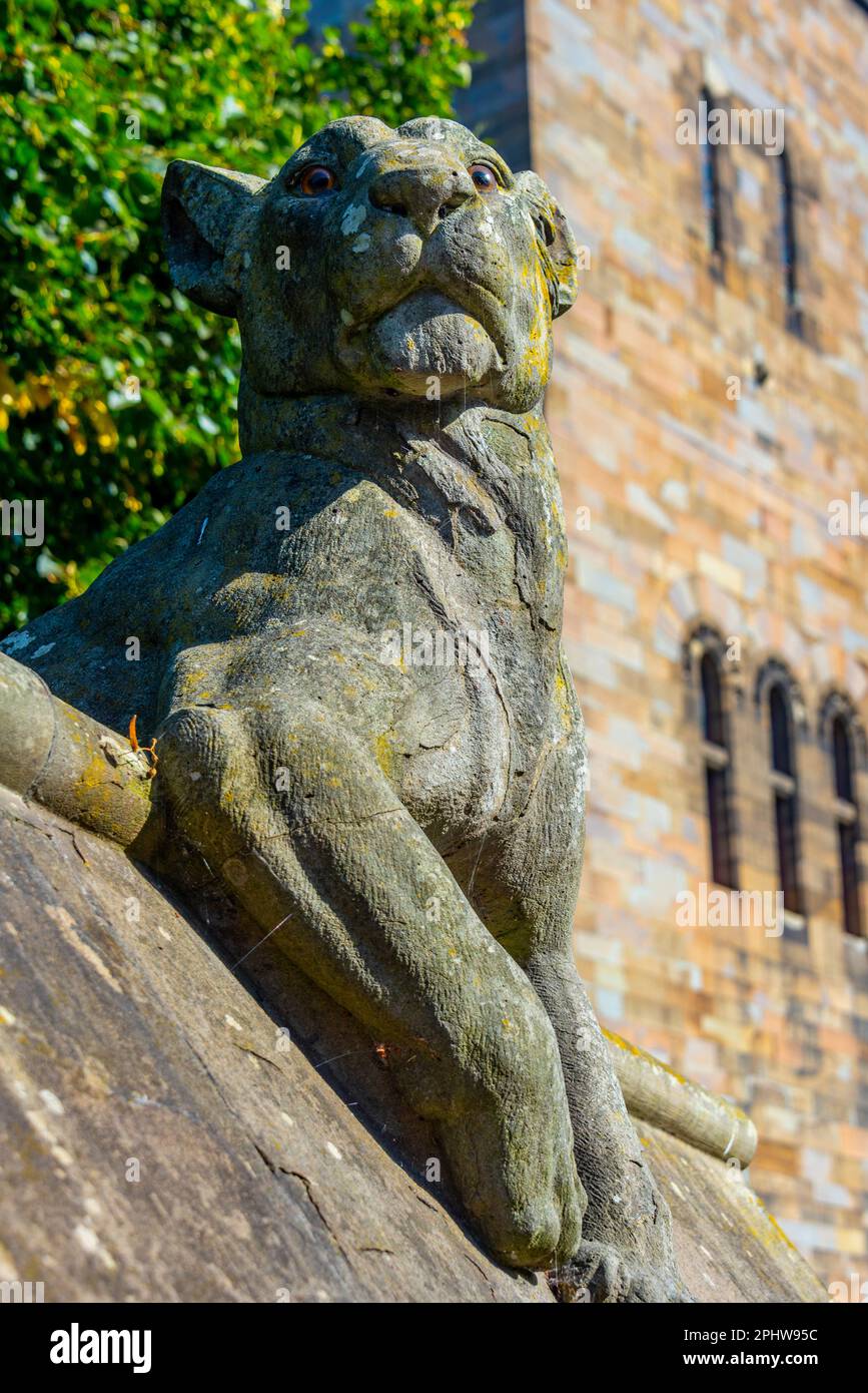 Bute park animal wall hi-res stock photography and images - Alamy