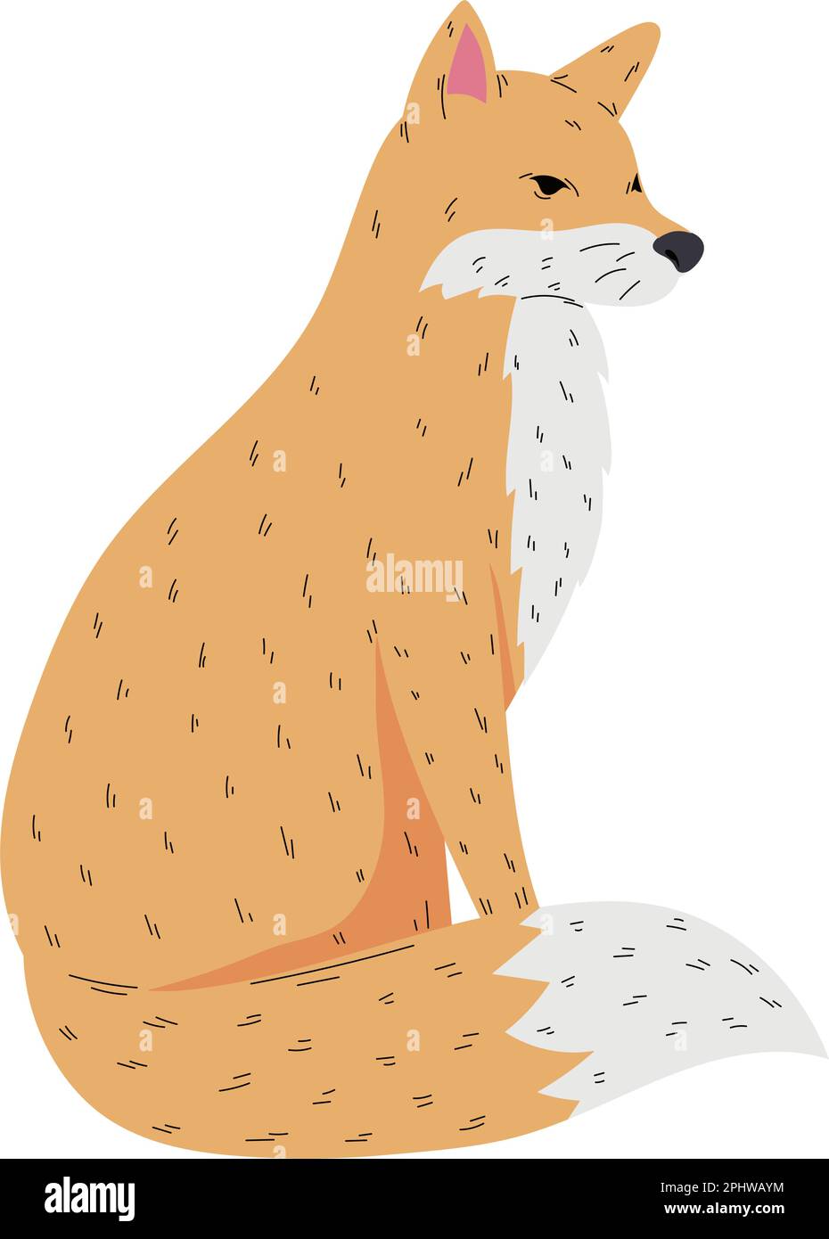 Fluffy fox sitting over white Stock Vector Image & Art - Alamy