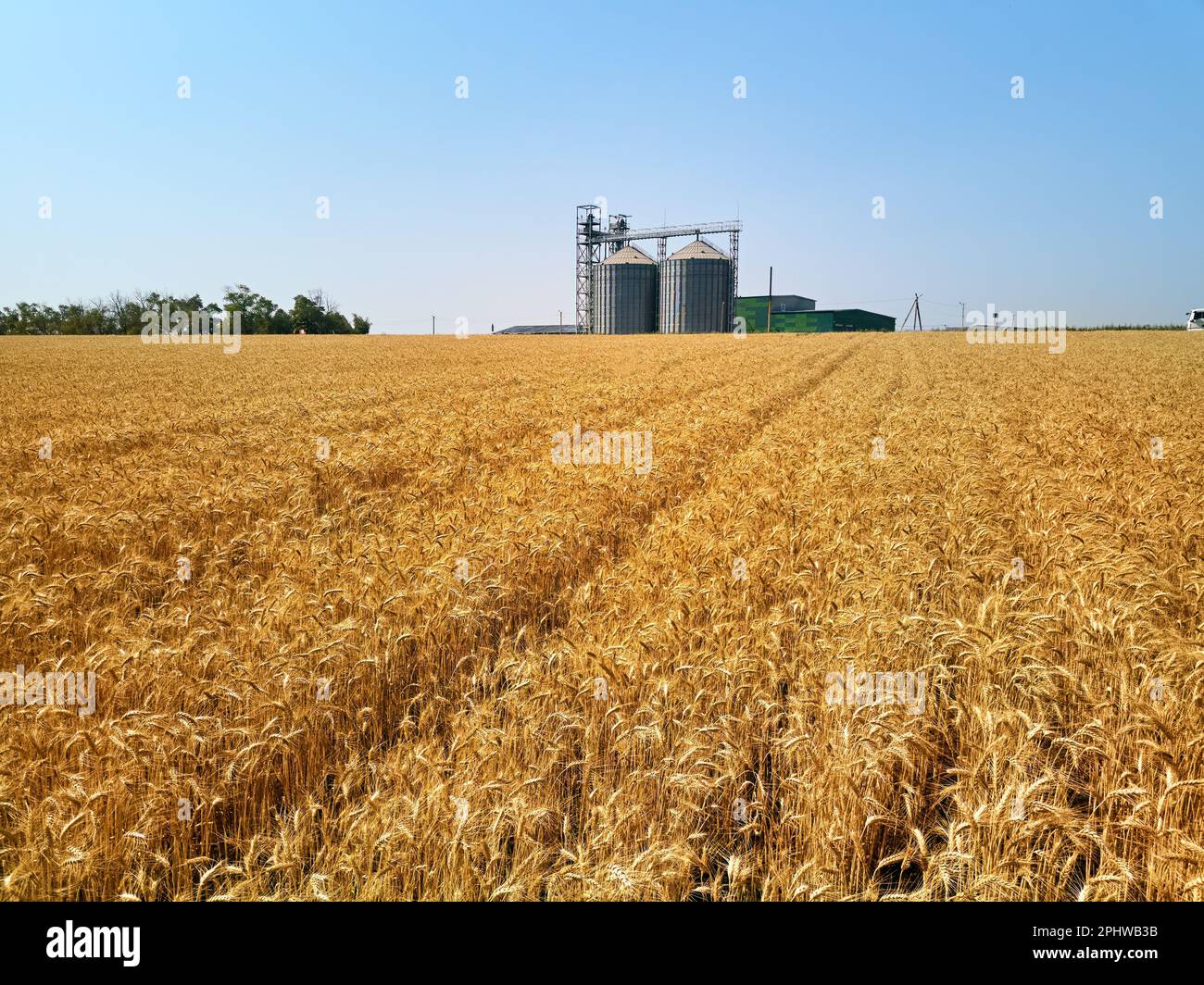 Aerial of grain elevator in front of wheat field. Drone camera above flour or oil mill plant ...