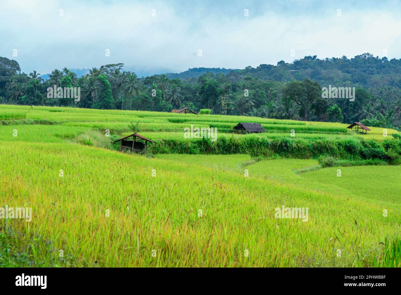 Padfield family hi-res stock photography and images - Alamy