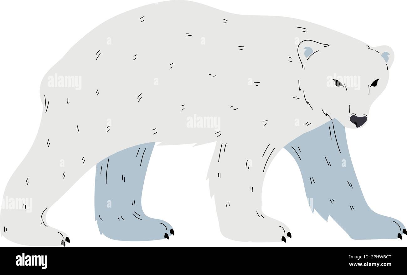 Cute arctic bear design over white Stock Vector Image & Art - Alamy