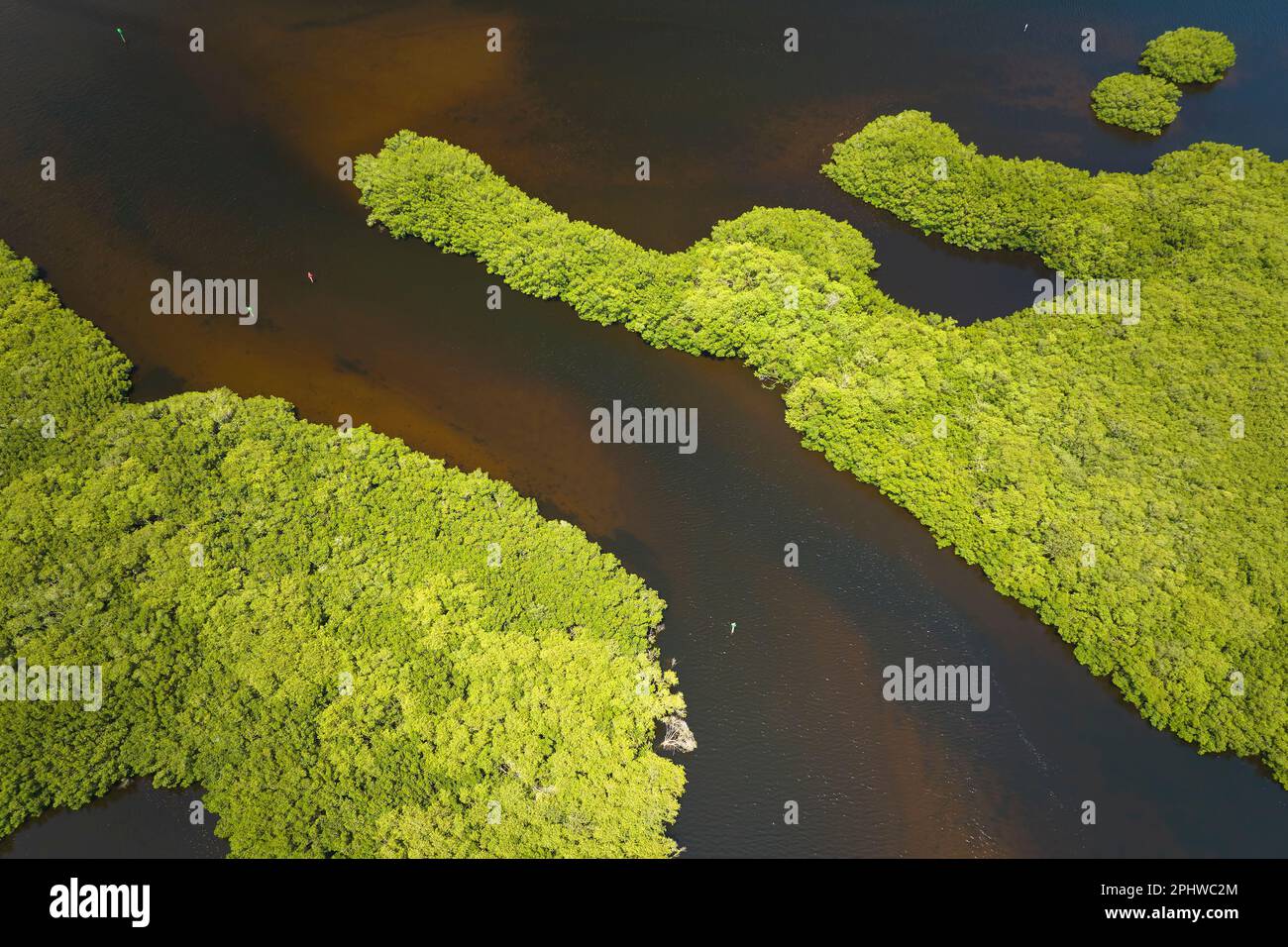 Overhead view of Everglades swamp with green vegetation between water ...