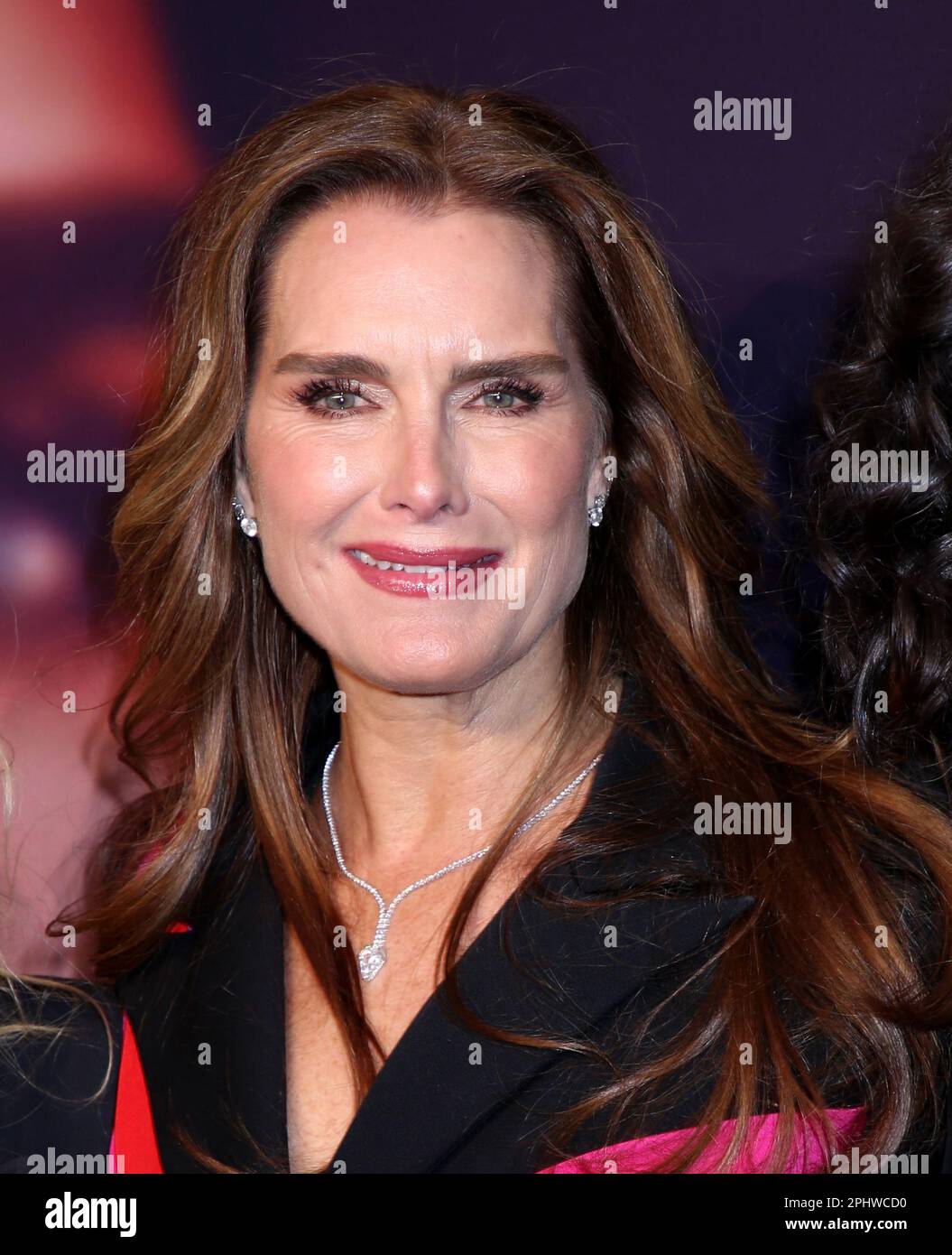 New York City, NY, March 29, 2023 Brooke Shields attending the 'Pretty ...